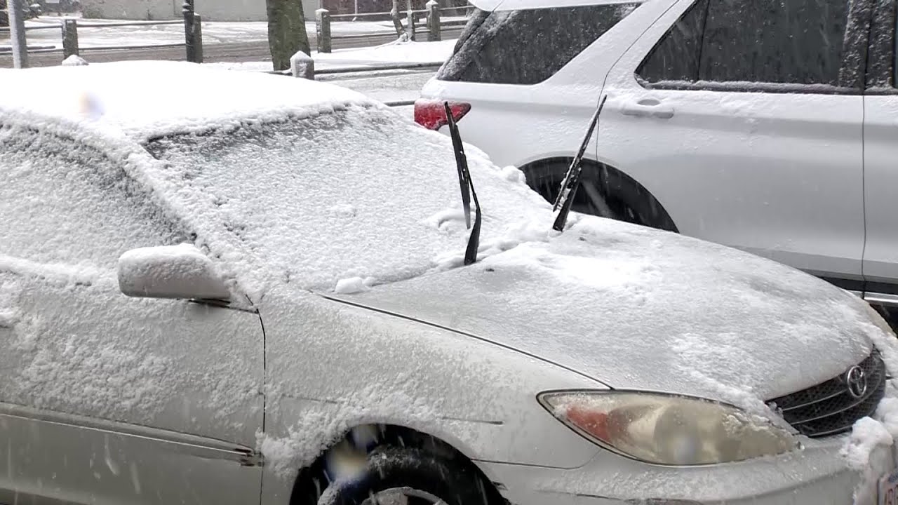 Storm coats southeastern Mass. town in wet, slushy snow - YouTube