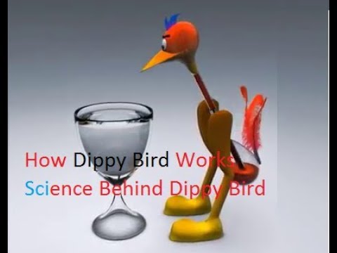 How Dippy Bird Works | How It's Made - YouTube