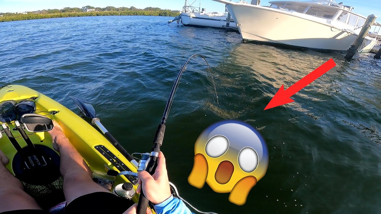Kayak Fishing Before I leave for Christmas - YouTube