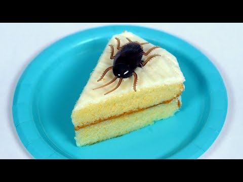 ROACH IN ICE CREAM CAKE!