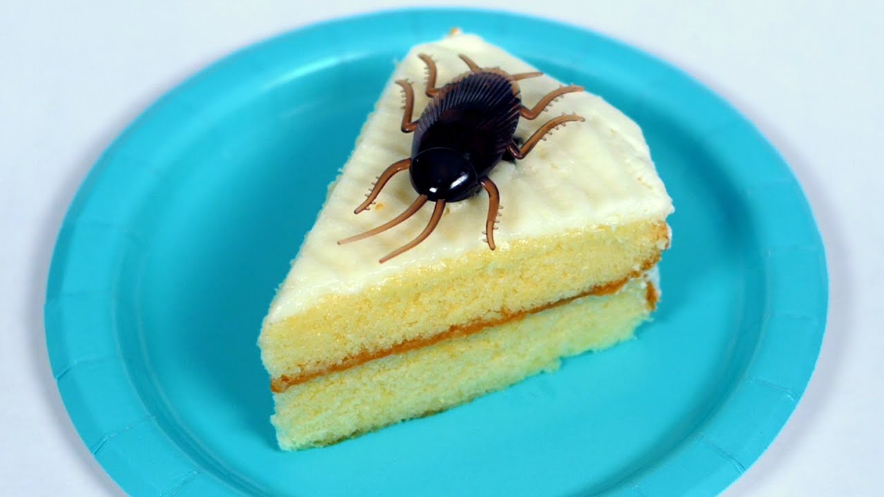 ROACH IN ICE CREAM CAKE! - YouTube