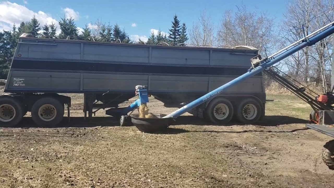 Plant 19 Cleaning Barley! - YouTube