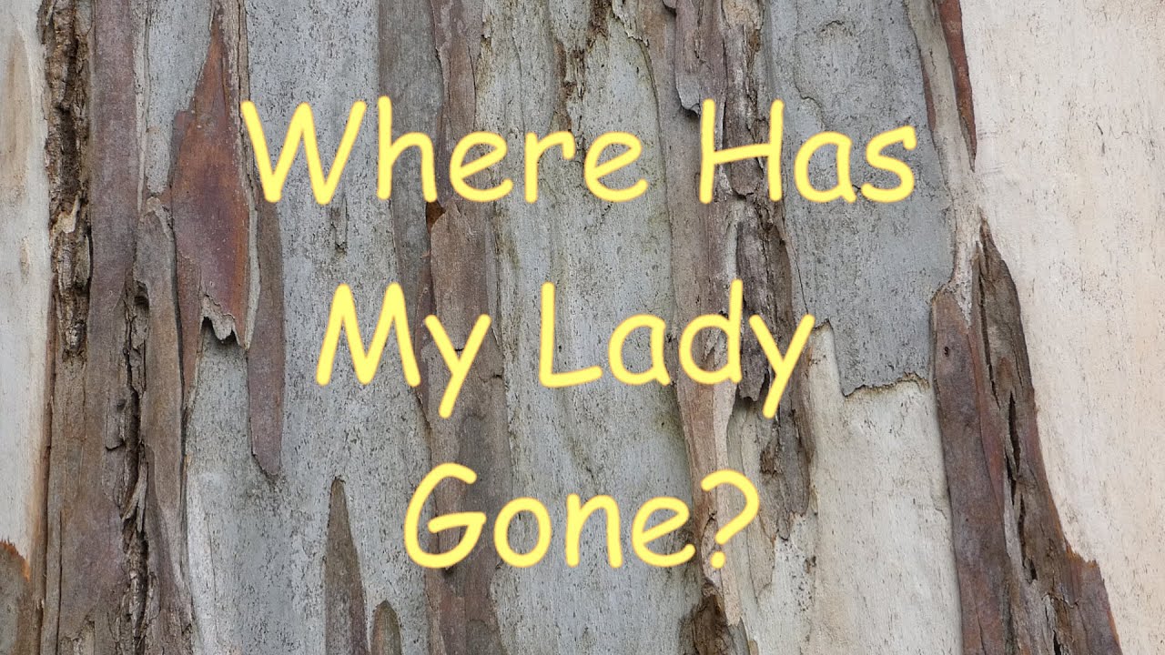 Where has my lady gone - YouTube