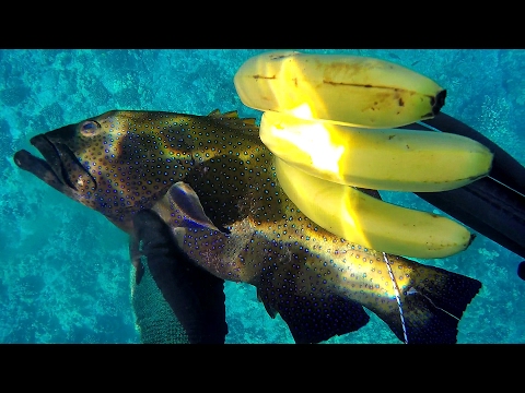 Black and Yellow: Bananas X Spearfishing - YouTube