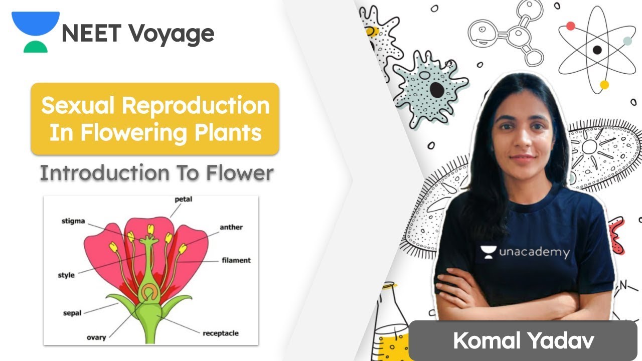 Introduction: Flower | Sexual Reproduction In Flowering Plants | Botany ...