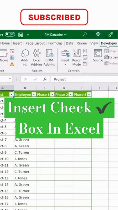 Insert Check ️ Box In Excel #excel #asmr #computer #excelformula #tricks #exceltips #trending # ...