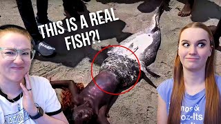 Real Mermaids Found Alive 2024