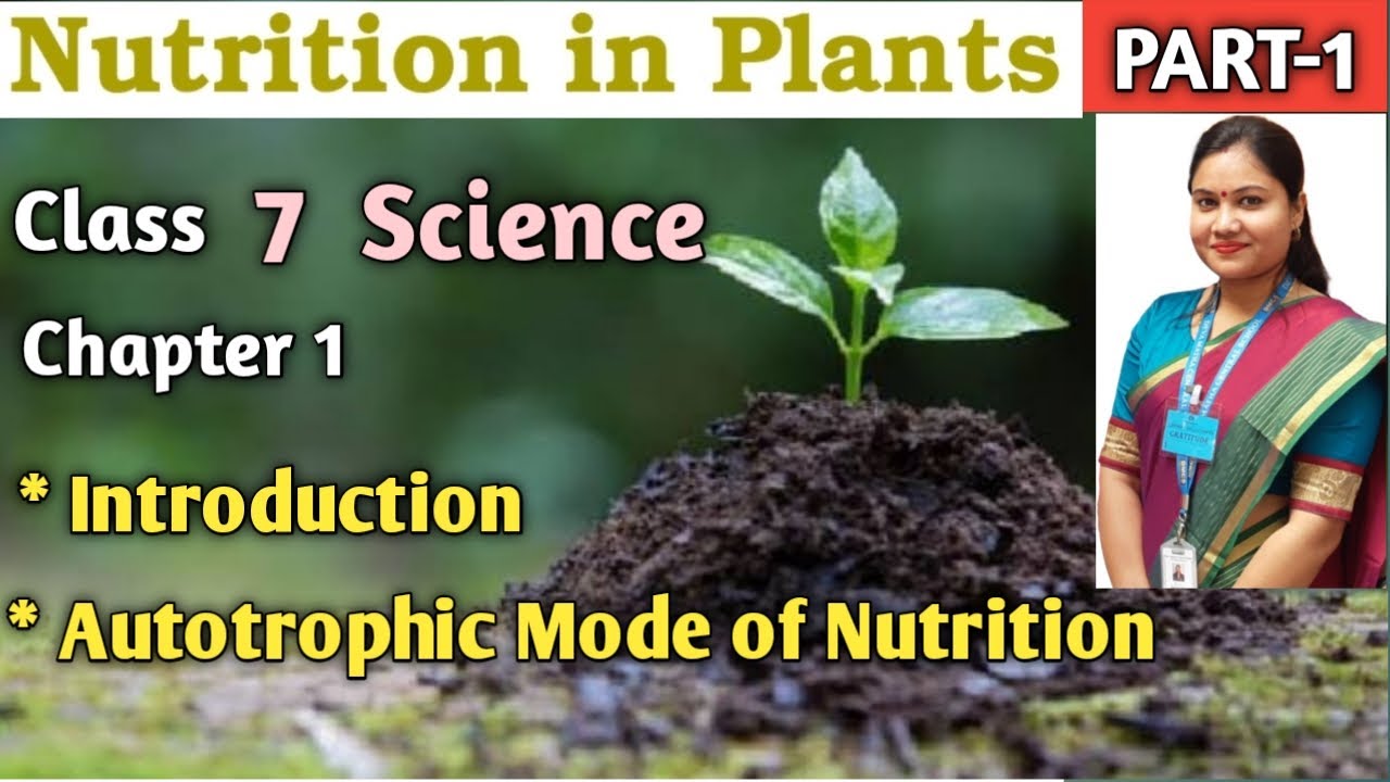Nutrition in Plants | Part 1 | NCERT Science Class 7 Chapter 1 - YouTube