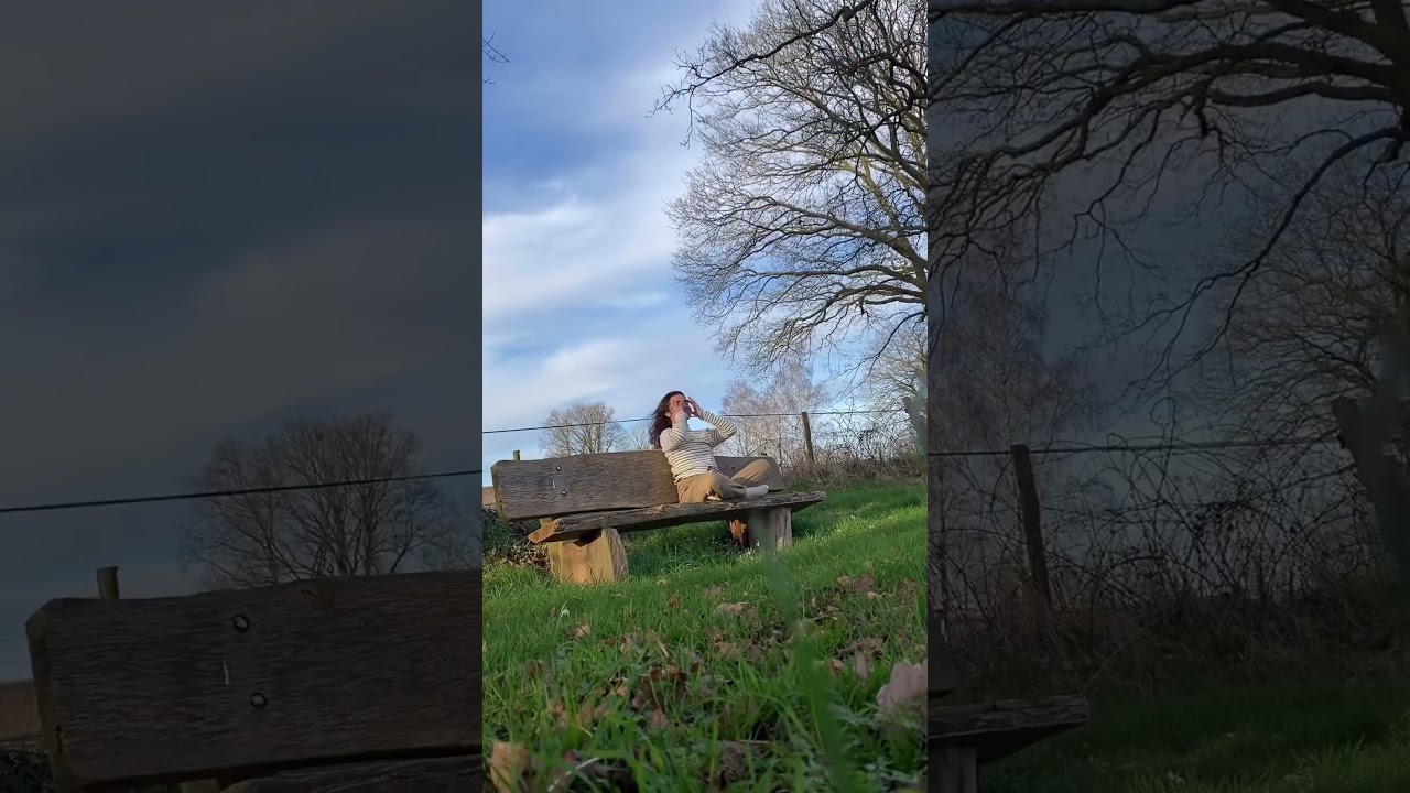 Live and Learn on Organic Farms - WWOOF Ireland