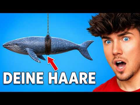 101 Dinge, die du lieber NIE erfahren hättest! 😳 (Zack D. Films)