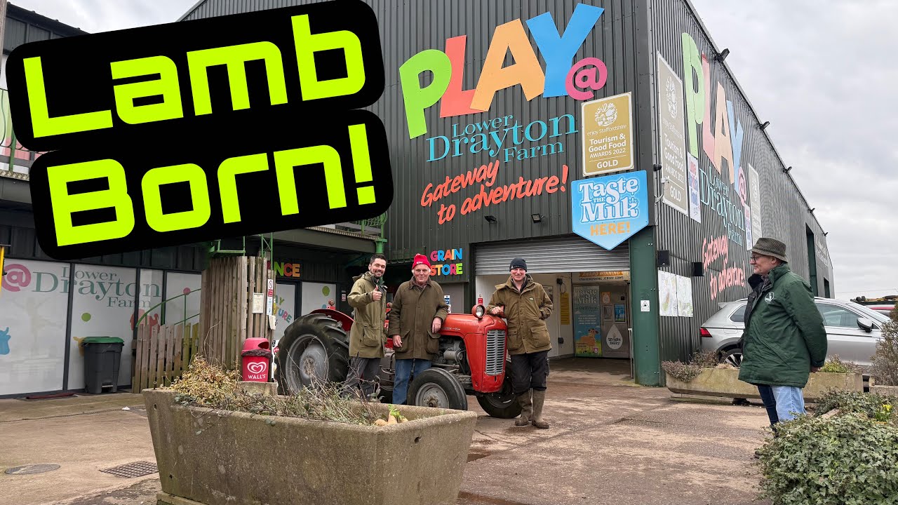 Play@ Lower Drayton Farm! Lamb born Live! - YouTube