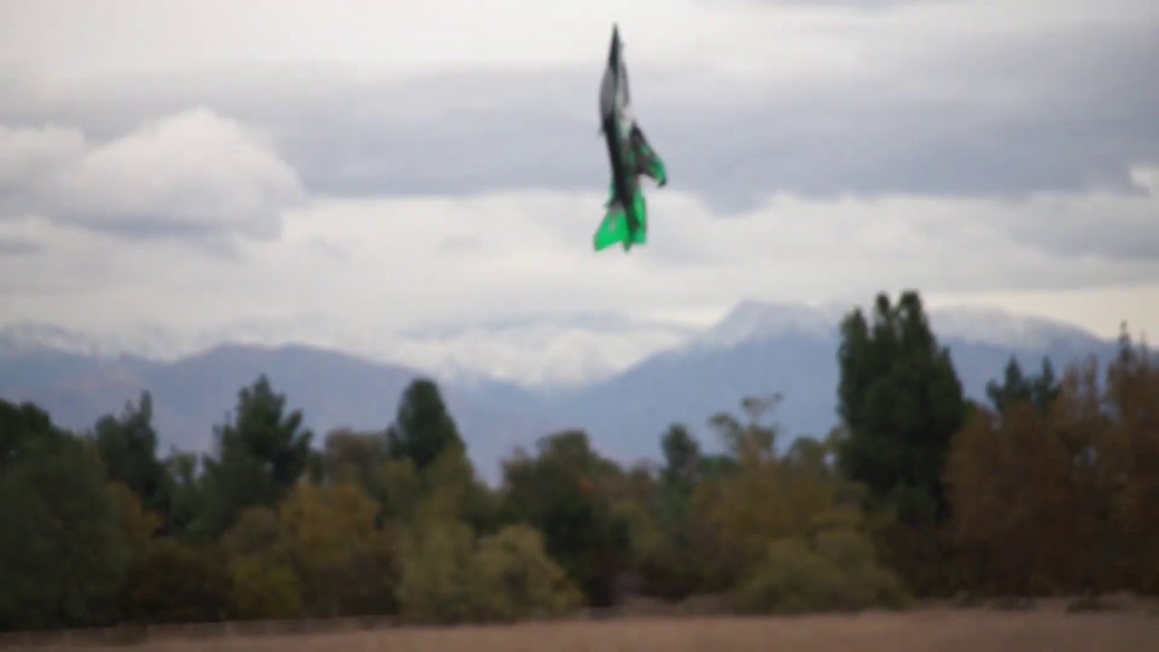 Elad fish Mephisto - YouTube