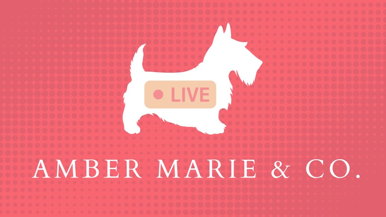 LIVE from the AMC Studio making a bumble bee wreath! - YouTube