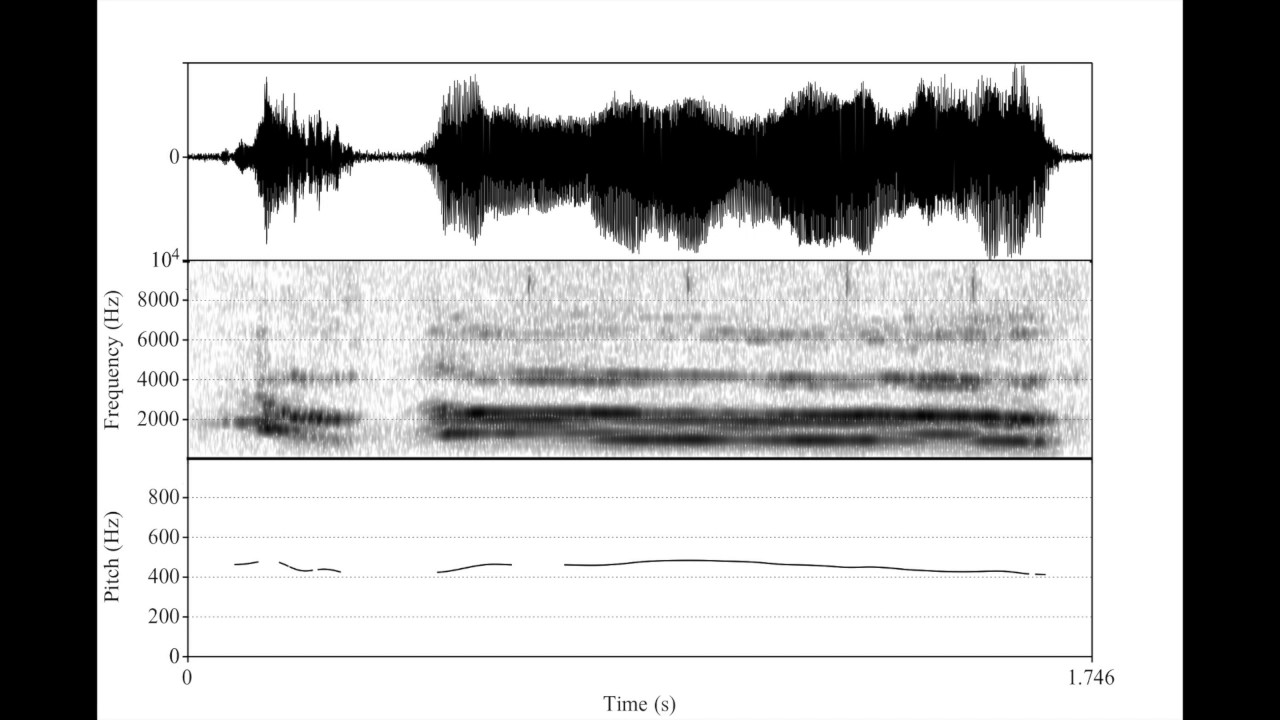 Domestic cat howl (phonetic) - YouTube