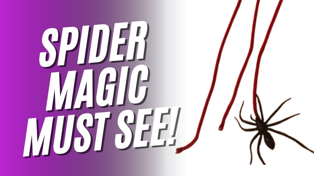 AMAZING SPIDER TRICK-must see - YouTube