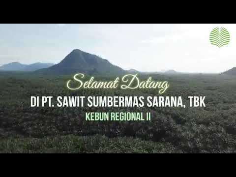 profil PT Citra Borneo indah grup.