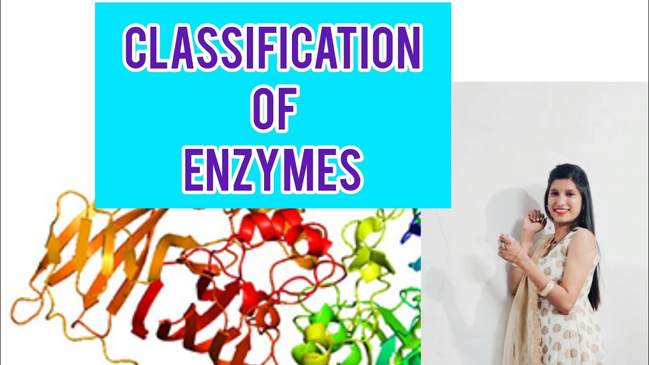 Classification of Enzymes - YouTube