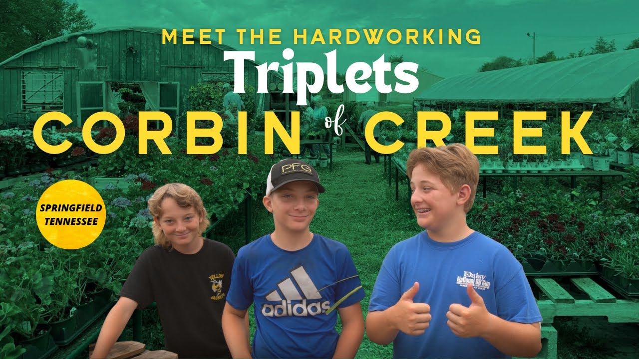 More Fun at Corbin Creek Greenhouse & Gifts | Springfield, Tennessee ...