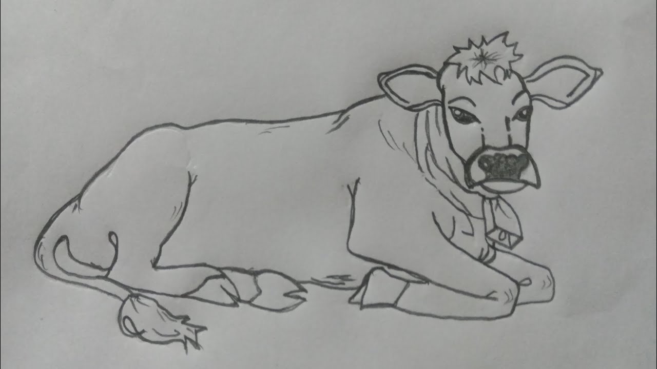 How to Drawing cow @How.to.drawing - YouTube