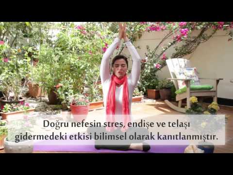 Doğru Nefes Alma ve Stresten Kurtulma Tanıtım Videosu