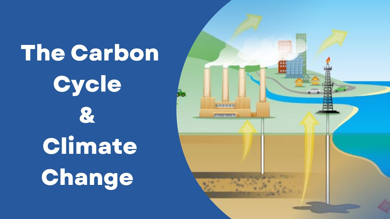 Carbon Cycle & Climate Change | The Student Shed - YouTube