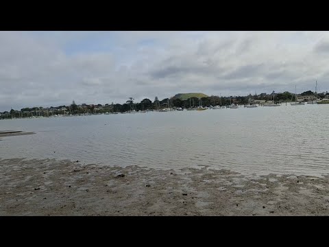 Pakuranga To Sunnyhills Walking Tour On The Rotary Walk In Auckland New ...