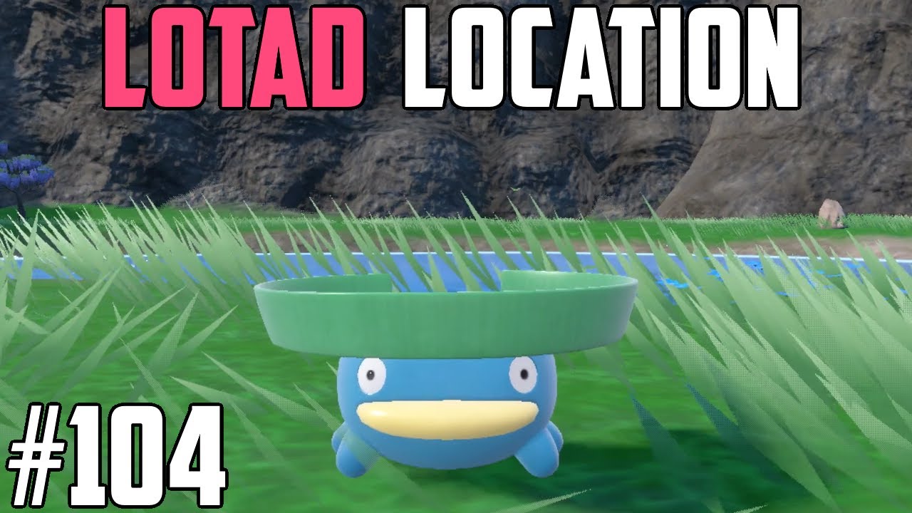 How to Catch Lotad - Pokémon Scarlet & Violet (DLC) - YouTube