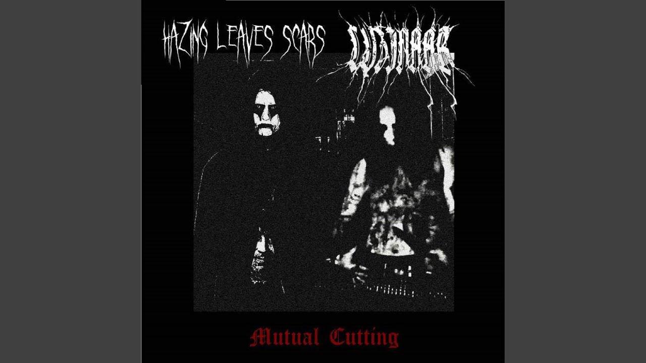 Progression or Aggression? - YouTube