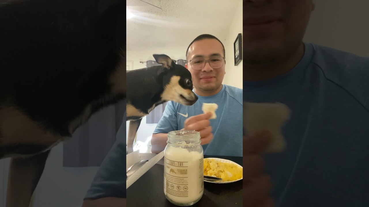 Video exclusivo comida 5 grasa de camello 🐫 - YouTube