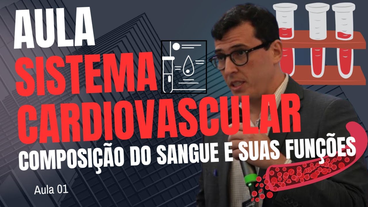 Sistema Cardiovascular Aula 1 Composição Sangue Youtube