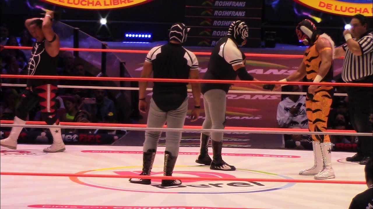 LOS FELINOS derrotan a LOS PANTERAS en los 40 años del Felino. Viernes ...