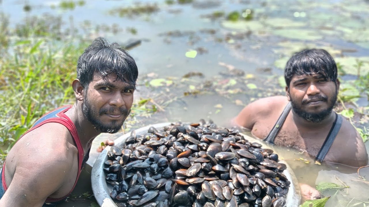 சிப்பி வேட்டை | Clam Fish Hunting and Cooking Village style... - YouTube