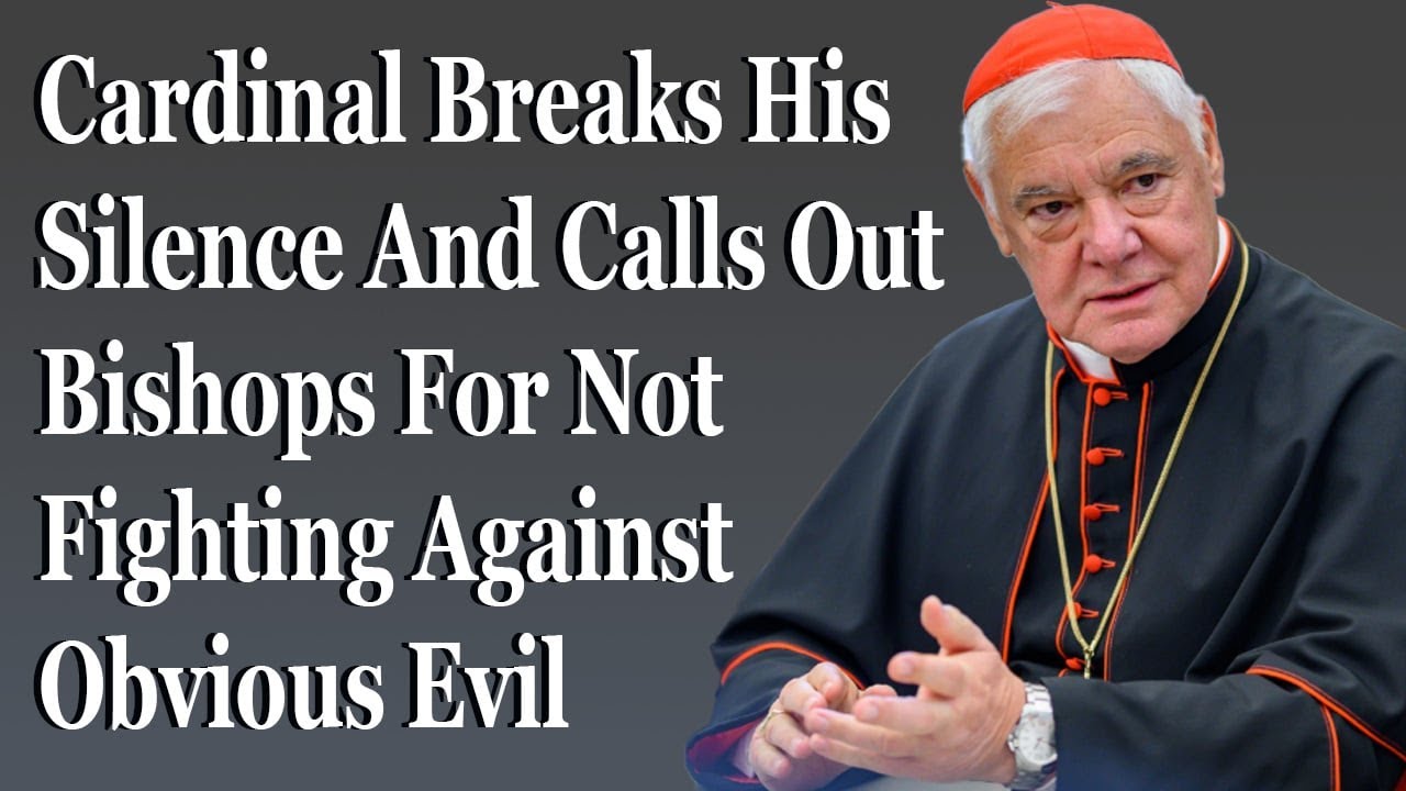 Cardinal Breaks His Silence: Calls Out Bishops For Not Fighting Against ...