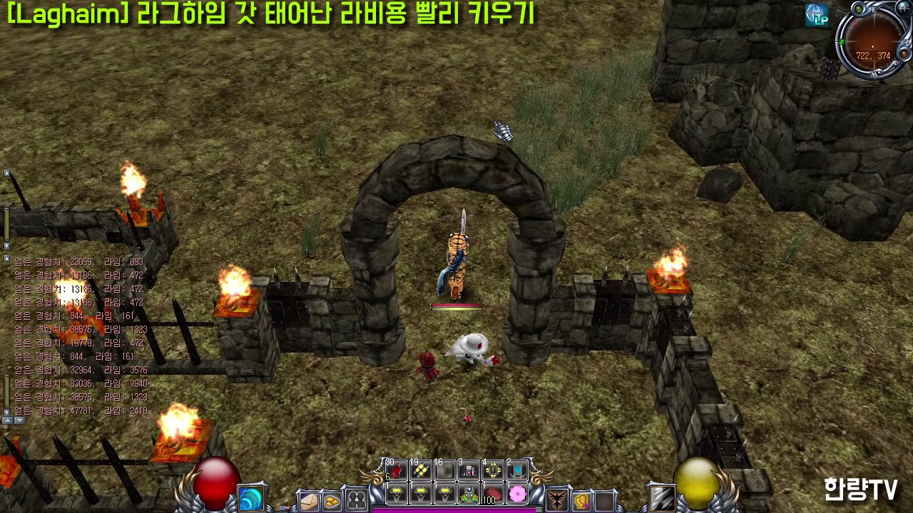 [Laghaim] 라그하임 갓 태어난 라비용 빨리 키우기 - YouTube