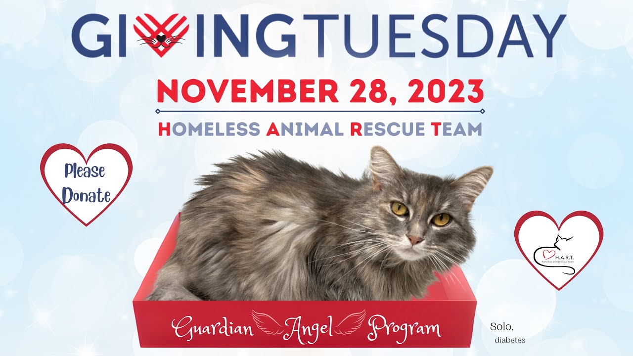 Giving Tuesday 2023 - Guardian Angel Program - YouTube