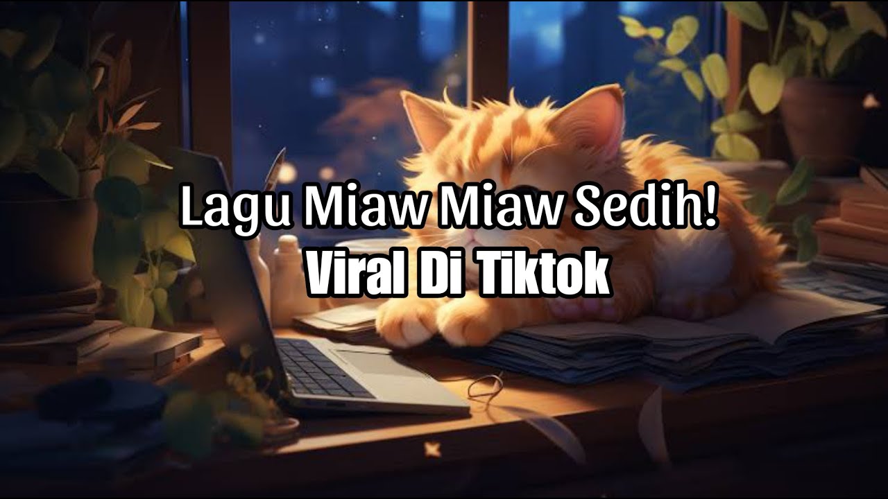 Lagu Kucing sedih Miaw Miaw, Lyrics Video - YouTube