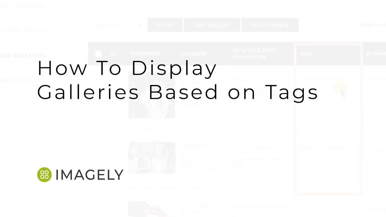How To Display Galleries Based on Tags - YouTube