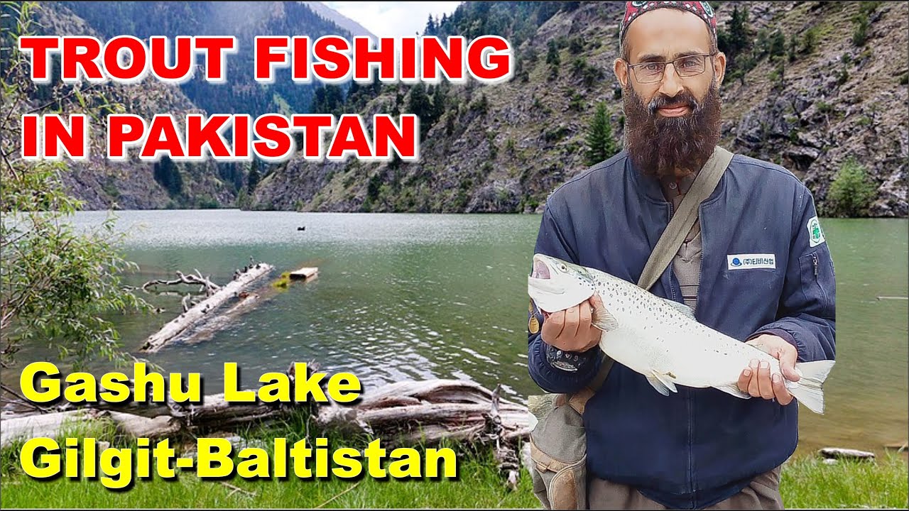 Trout Fishing in Pakistan | Gashu Lake Gilgit Baltistan - YouTube