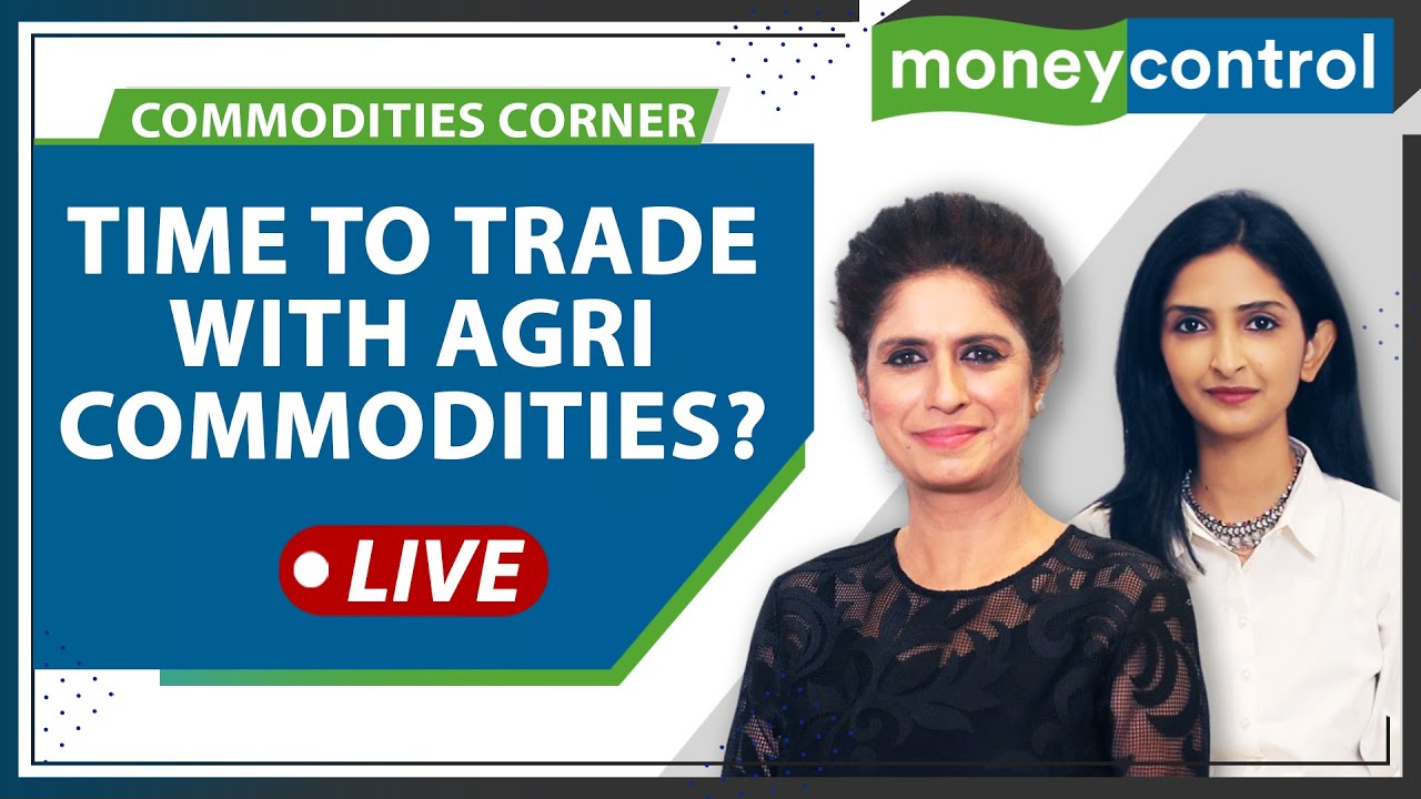 Right Time To Buy Agri Commodities Sugar, Cocoa Ahead Of Christmas ...