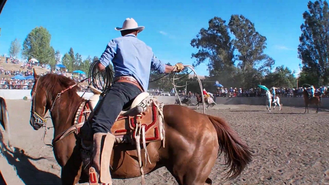 RODEO RANCHERO NAPA CA 6/20/20 LA HERENCIA RANCHERA -EL PAVO- - YouTube