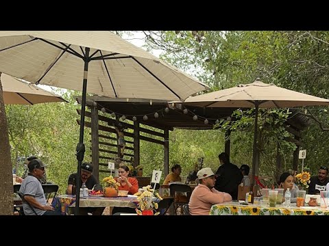 Cocinando con Maria Tavares🌼 - YouTube