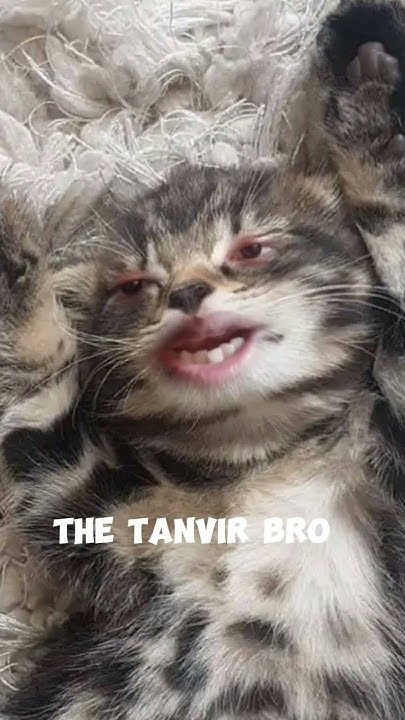 The Tanvir Bro..#funny #funnyshorts #ytshorts - YouTube