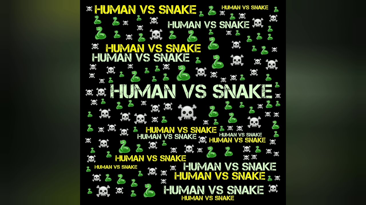Human vs Snake - Who Wins? :Test animation Stop motion | claymation ...