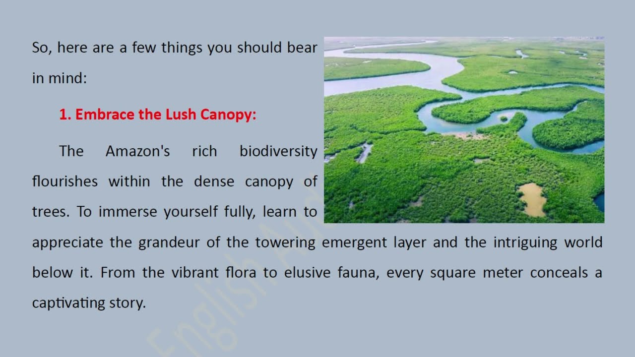 English story - Navigating the Amazon rainforest: an expert's guide ...