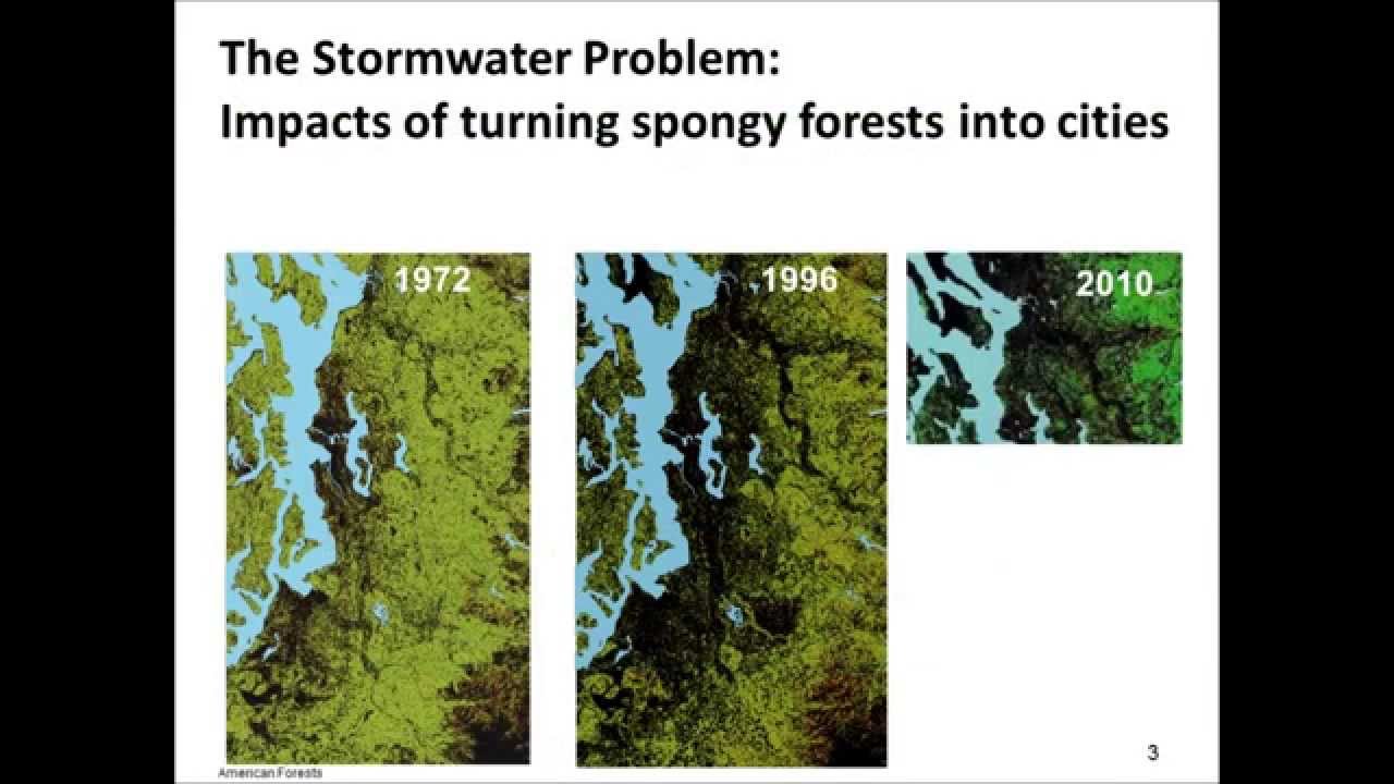 Green Stormwater Infrastructure / Low-Impact Development Toolbox of ...