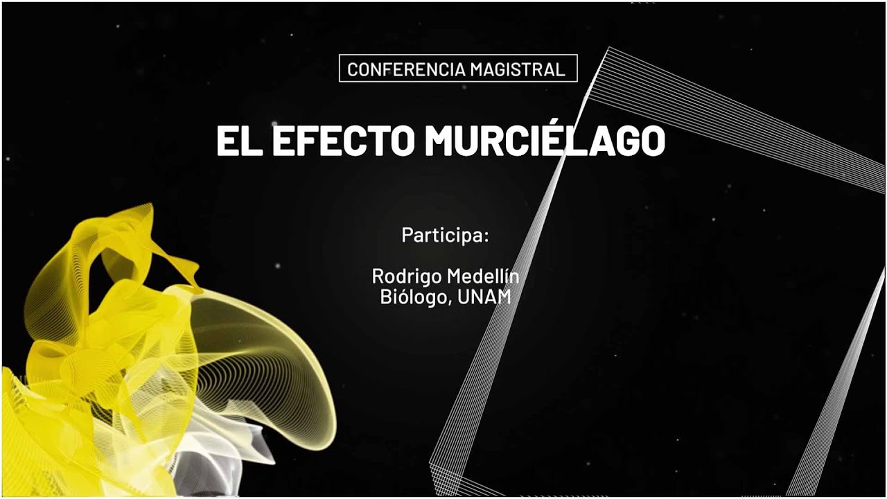 El efecto murciélago. Rodrigo Medellín, iólogo de la conservación y ...