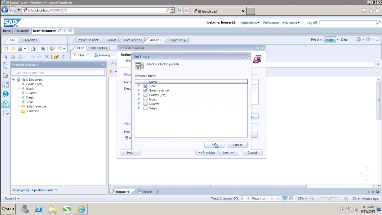 SAP Webi - Sharing Reports - YouTube