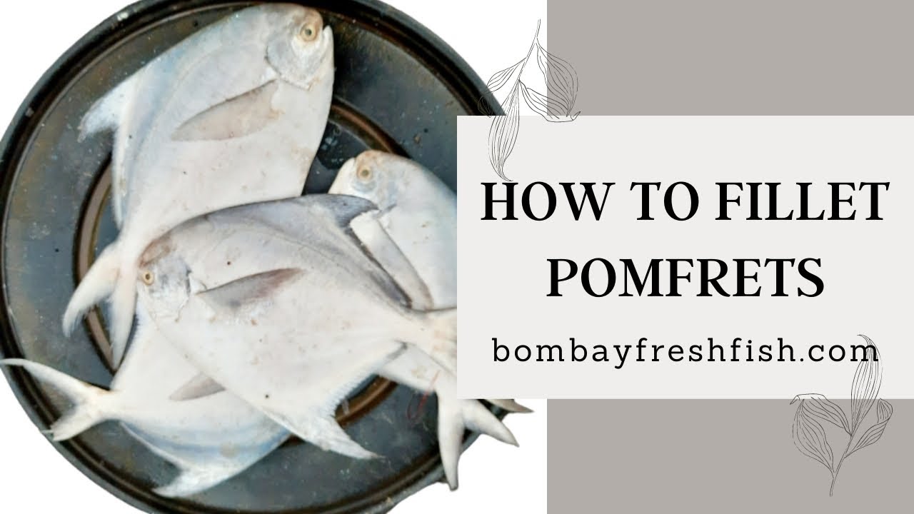How to Fillet Pomfret Fish | Professional video | Bombayfreshfish.com ...