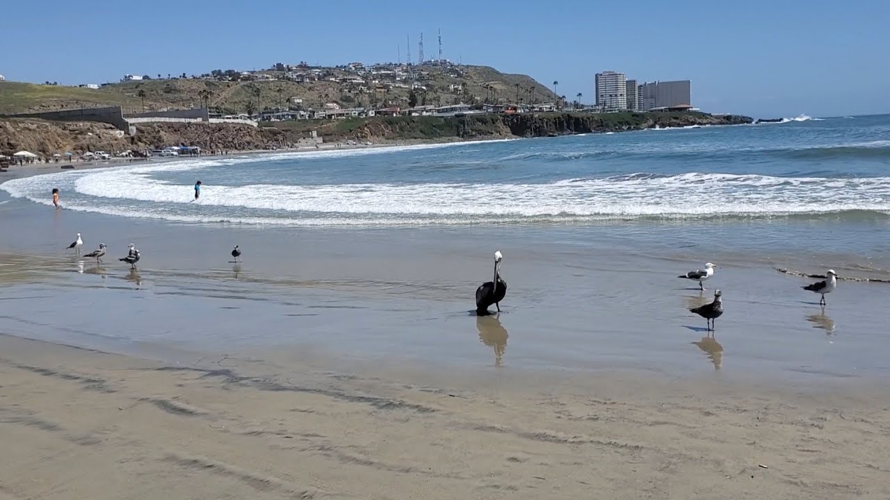 Popotla, Rosarito, Y sus mariscos Frescos acompañado con una agradable ...
