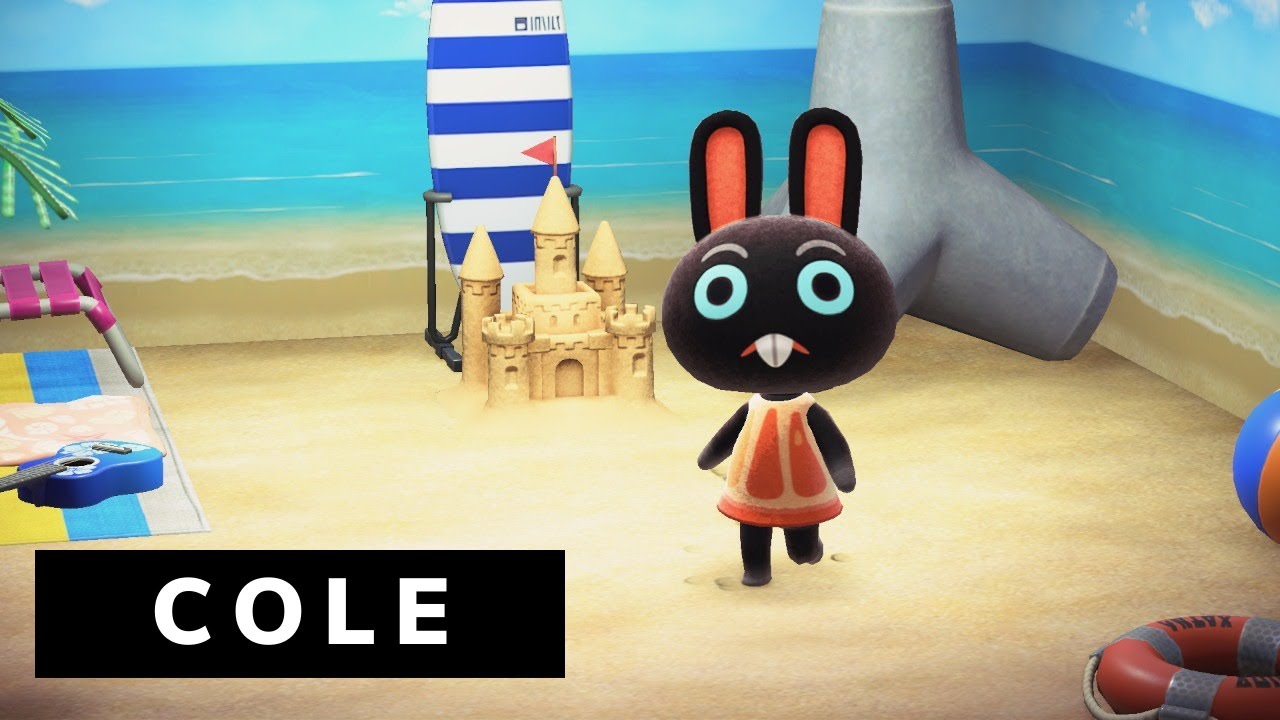 COLE House Tour | Animal Crossing: New Horizons - YouTube